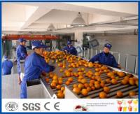 China 10TPH Automatic Orange Juice Extract Orange Processing Line For Juice Making Factory for sale
