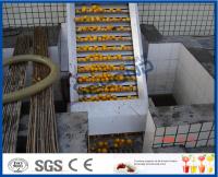 China Energy Saving Orange Processing Line with Glass / PET Bottle Filling Machine for sale