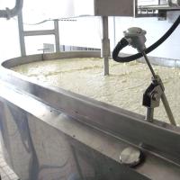 China 50KW Automatic Cheese Making Machine For Cheddar Cheese Production for sale