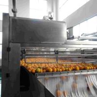 China Automatic Fresh Ginger / Turmeric Cleaner Stainless Steel Fruit Washing Machine for sale