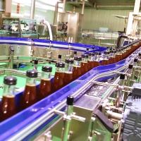 China Industrial Pomegranate Juice Production Line 2-50 T/H Pomegranate Juice Making Equipment for sale