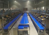 China Automatic Control Coconut Milk Processing Plant 4000LPH Stainless Steel Dairy Line for sale