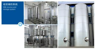 China Custom Size Dairy Processing Plant Milk Processing Machine 3000L to 20000L Capacity for sale