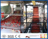 China 200KW Power Tomato Ketchup Machine Tomato Processing Machine 304 Stainless Steel Material for sale