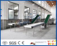 China Heat Resistant Slat Conveyor Belt System For Orange Sorting Machine 2TPH Load Capacity for sale