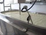 China Stainless Steel Dairy Processing Plant Cheese Making Machine 100L 2000L Temperature Control for sale
