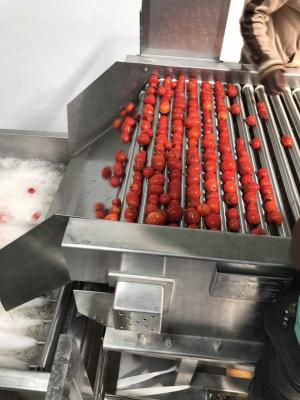 China Low Energy Tomato Processing Forced Circulation Evaporator 200kg Weight 500L Capacity for sale