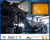 China Sea Buckthorn Juice Production Line 380V 50Hz 15kW Industrial Fruit Processing Plant for sale