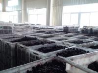 China High Speed Fruit Juice Processing Line Scraper Film Evaporator Environmental Protection for sale