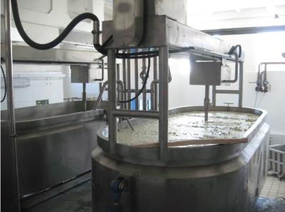 China Automatic CIP Clean Cheese Processing Line 200kg/H Dairy Plant for sale