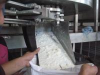 China Automatic CIP Clean Cheese Processing Line 200kg/H Dairy Plant for sale