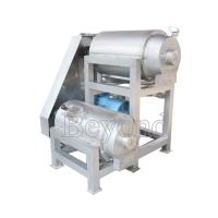 China Double Stage Fruit Juice Pulping Machine 10TPH Mango Processing Line Stainless Steel for sale