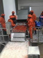 China 2TPH Tomato Paste Processing Line Turnkey Project with Vacuum Evaporation for sale