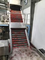 China 2TPH Tomato Paste Processing Line Turnkey Project with Vacuum Evaporation for sale