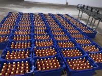 China 2TPH Tomato Paste Processing Line Turnkey Project with Vacuum Evaporation for sale