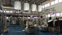 China UHT Milk Pasteurization Plant 500LPH Dairy Processing Line for Whole Skimmed Milk for sale