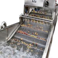China SUS304 10TPH Fruit Vegetable Washing Machine with Stepless Speed Control for sale