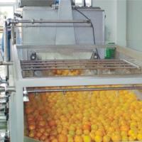 China Industrial Fruit Washing Machine High Efficiency Brush Roller Cleaner 3000mm Length 1.1kw for sale