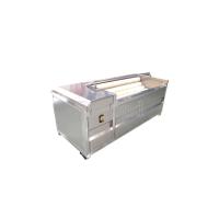 China 5t/H Adjustable Speed Fruit Vegetable Brush Washer Stainless Steel 3000x1250mm for sale