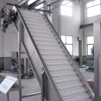 China SUS304 SUS316L Fruit Clapboard Elevator Fruit Processing Equipment For Fruit Conveying for sale