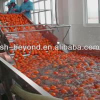 China SUS304 SUS316L Fruit Clapboard Elevator Fruit Processing Equipment For Fruit Conveying for sale