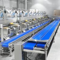 China Conveyor Belt Type Fruit Processing Equipment With Stainless Steel Material for sale