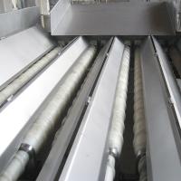 China Screw Conveyor Design Fruit Processing Equipment With SUS304 Stainless Steel for sale