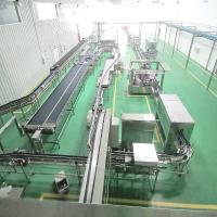 China SS304 Mango Pineapple Mesh Fruit Conveyor Belt Corrosion Resistant for sale
