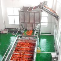 China Stainless Steel Fruit Sorting Machine 2-20 T/H Capacity Roller Grading Sorter for sale