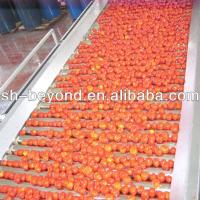 China Stainless Steel Fruit Vegetable Roller Sorting Machine 0.75-2.2kw Adjustable Speed for sale