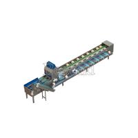 China Lifting Apple Grading Machine 220V 380V Fruit Processing Equipment for Classifying Oval Fruits Vegetables for sale