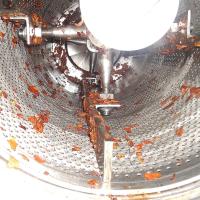 China Fruit And Vegetable Washer Fruit Processing Equipment For Cleaning / Washing for sale