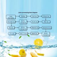 China 10TPH Automatic Orange Juice Extract Orange Processing Line For Juice Making Factory for sale