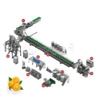 China Citrus Orange Processing Line 2-50T/H Fruit Juice Factory Machinery ISO9001 CE SGS for sale