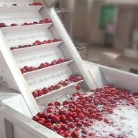 China Date Liquid Syrup Manufacturing Plant 2-50T/H Fruit Juice Production Line with Evaporator for sale