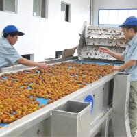 China Date Liquid Syrup Manufacturing Plant 2-50T/H Fruit Juice Production Line with Evaporator for sale