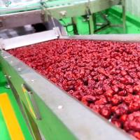 China Date Liquid Syrup Manufacturing Plant 2-50T/H Fruit Juice Production Line with Evaporator for sale