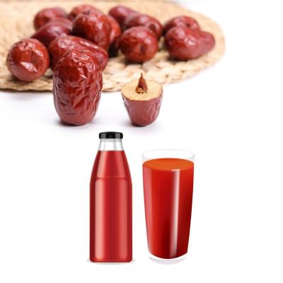 China Industrial Sea Buckthorn Juice Processing Line 20T/D to 2000T/D Capacity for sale