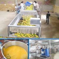 China Complete Turnkey Mango Fruit Juice Processing Line 5-50TPH Energy Saving for sale