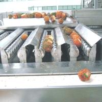 China CE Pineapple Juice Extractor 5-10T/H Processing Plant for NFC Pineapple Juice for sale