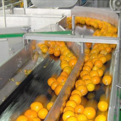 China Citrus Orange Processing Line 2-50T/H Fruit Juice Factory Machinery ISO9001 CE SGS for sale