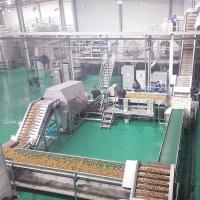 China 20TPD Sea Buckthorn Processing Fruit Juice Production Line for sale