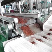 China 20TPD Sea Buckthorn Processing Fruit Juice Production Line for sale