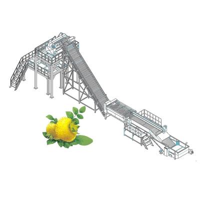 China 72Brix Concentrate Prickly Fruit Processing Line 20-2000 T/D Juice Production for sale