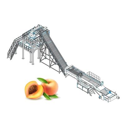 China CE Standard Peach Apricot Plum Juice Processing Line 20T/D to 2000T/D for sale