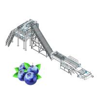 China Full Automatic Strawberry Processing Equipment 2-50T/H Capacity 12 Brix for sale