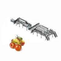 China CE Certified Apple Processing Line 5-50T/H with Automatic Disinfection Control for sale