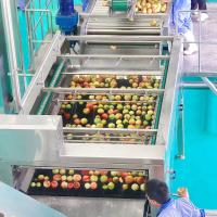 China Electric Fruit Grinder Machine Hammer Type Apple Crusher 2-20 T/H Stainless Steel for sale