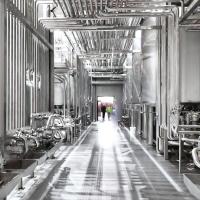 China SGS Sanitary  1000L/H  Yoghurt Processing Line With Auto CIP Cleaning for sale