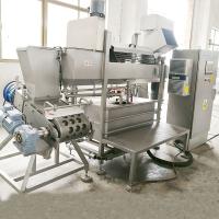 China 2000kg/H Mozzarella Dairy Cheese Processing Machine 20000L/D PLC Automatic for sale